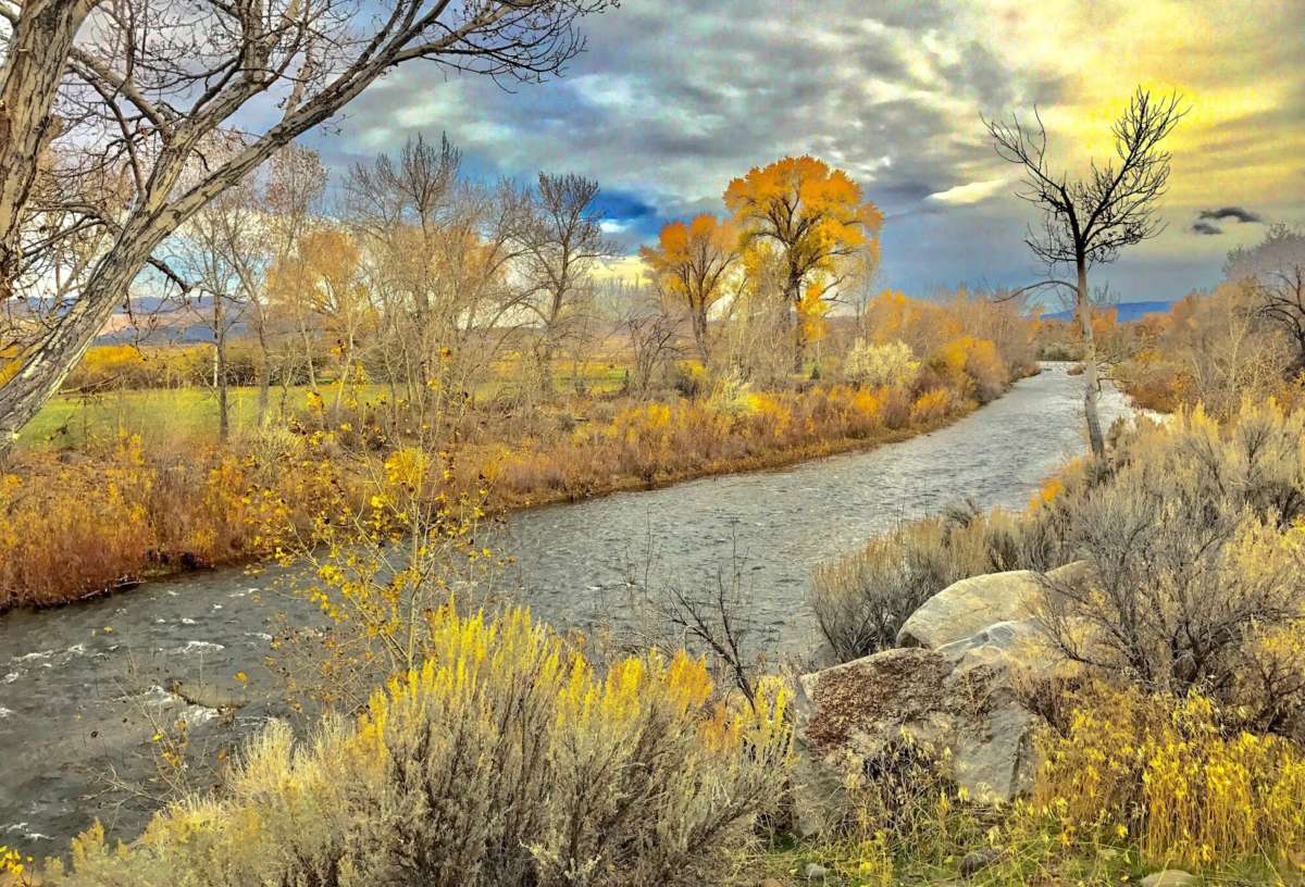 What You 'Autumn' Know About Carson Valley - Carson Valley, Nevada ...