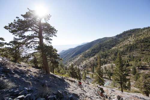 Mountain Biking Near Lake Tahoe and Carson Valley