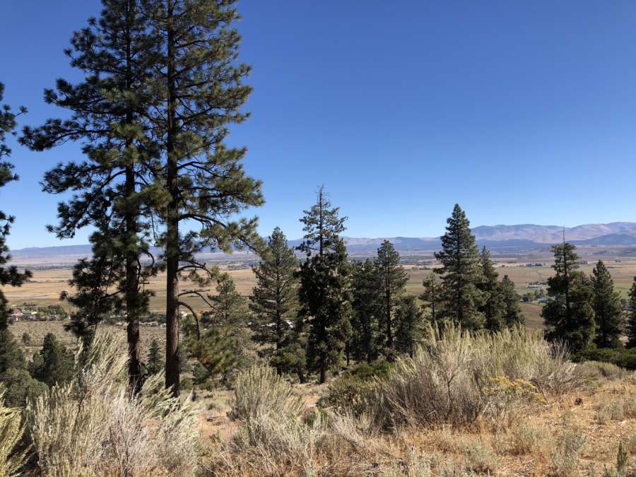 Carson Valley Photo Roundup - Carson Valley, Nevada | Genoa ...