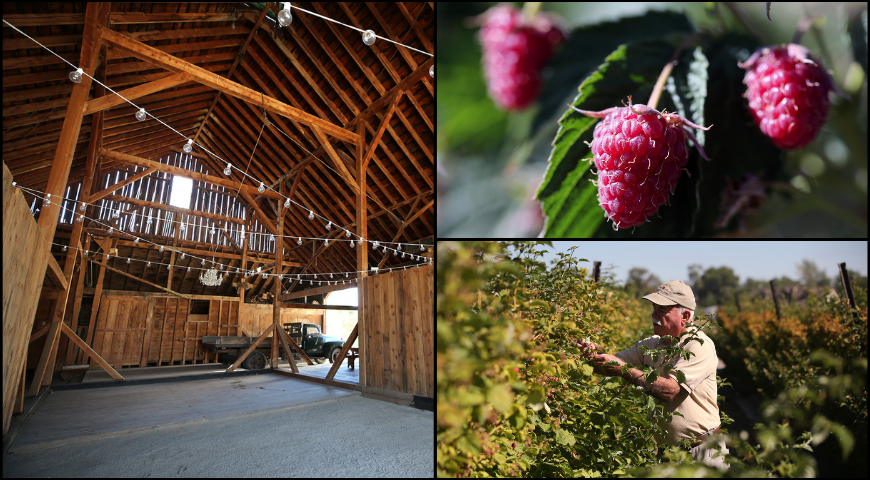 Top 15 Places to Eat and Drink In Carson Valley - Carson Valley, Nevada ...