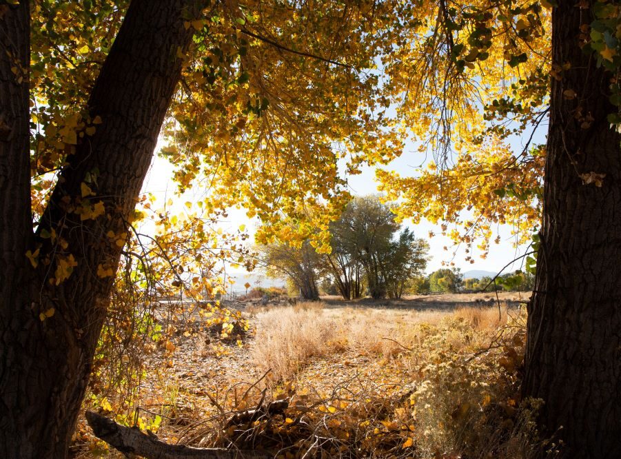 Get into the ‘Spirit’ of the Season: Plan a Ghoulish Trip to Haunted ...