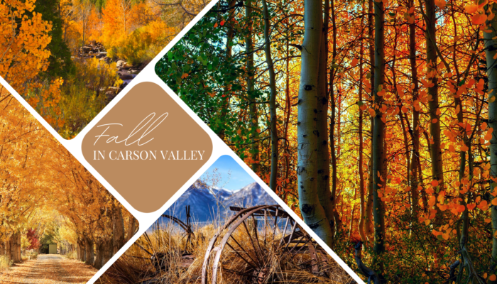 Autumn Insider: 11 Fall Inspired Memory Makers - Carson Valley, Nevada ...