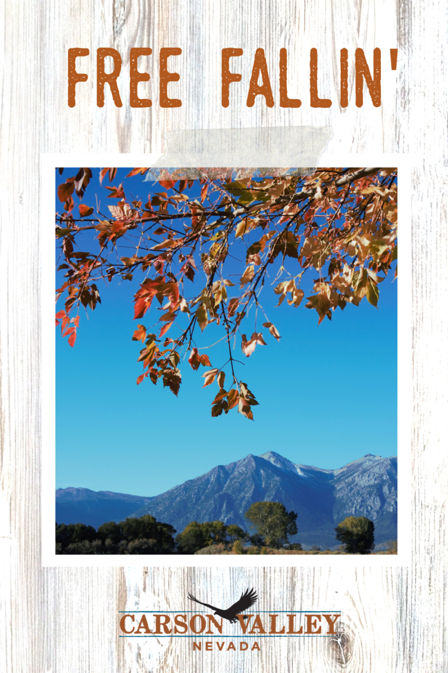 Free Fallin' - Carson Valley, Nevada | Genoa, Gardnerville, Minden ...