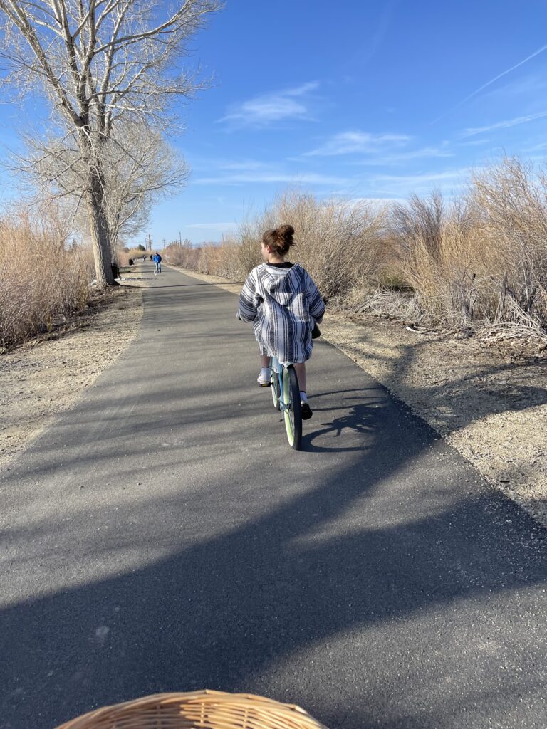 Main Street Gardnerville - Take a Walk with us - Carson Valley, Nevada ...