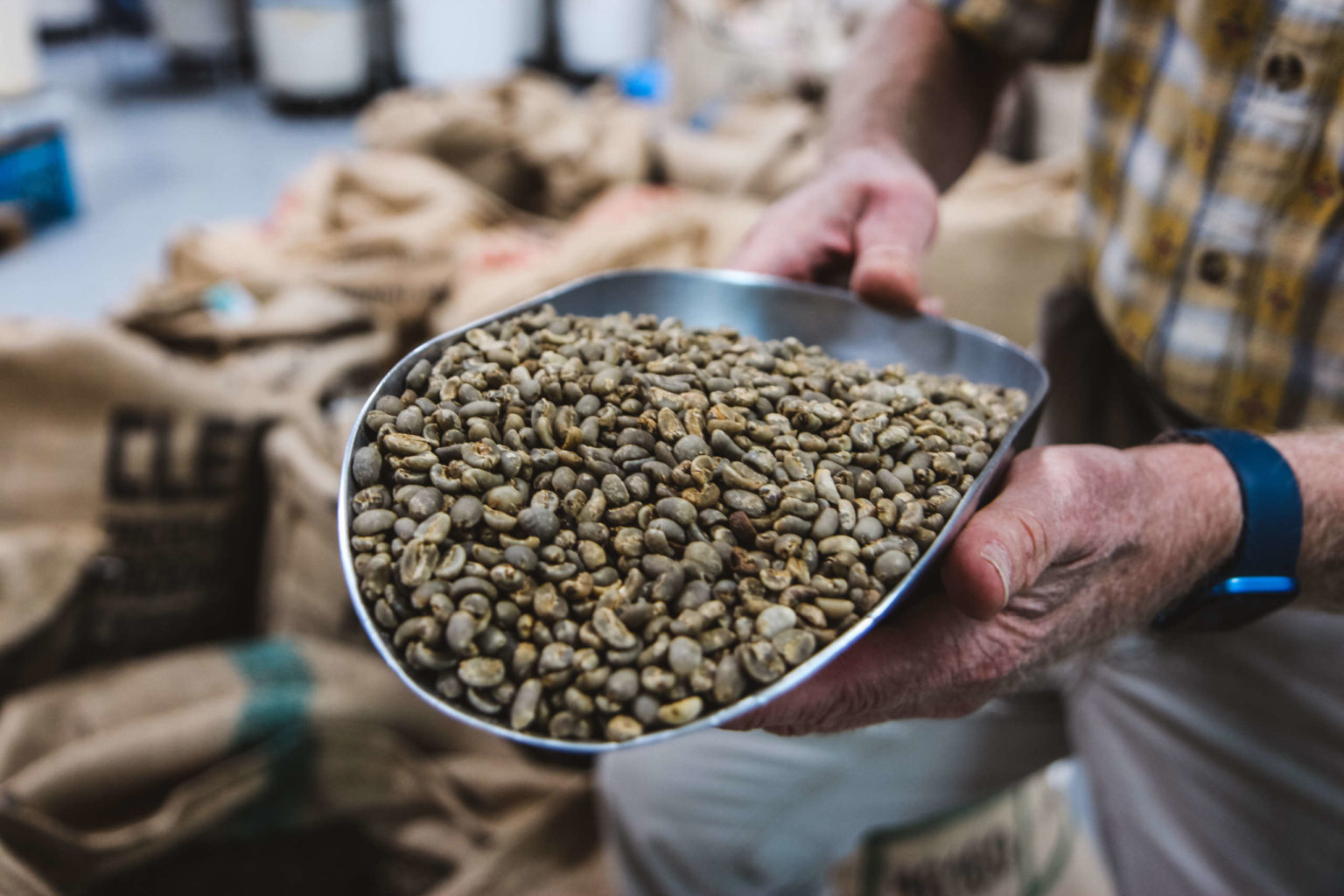 Alpen Sierra – For the Love of Coffee and Beyond - Carson Valley ...