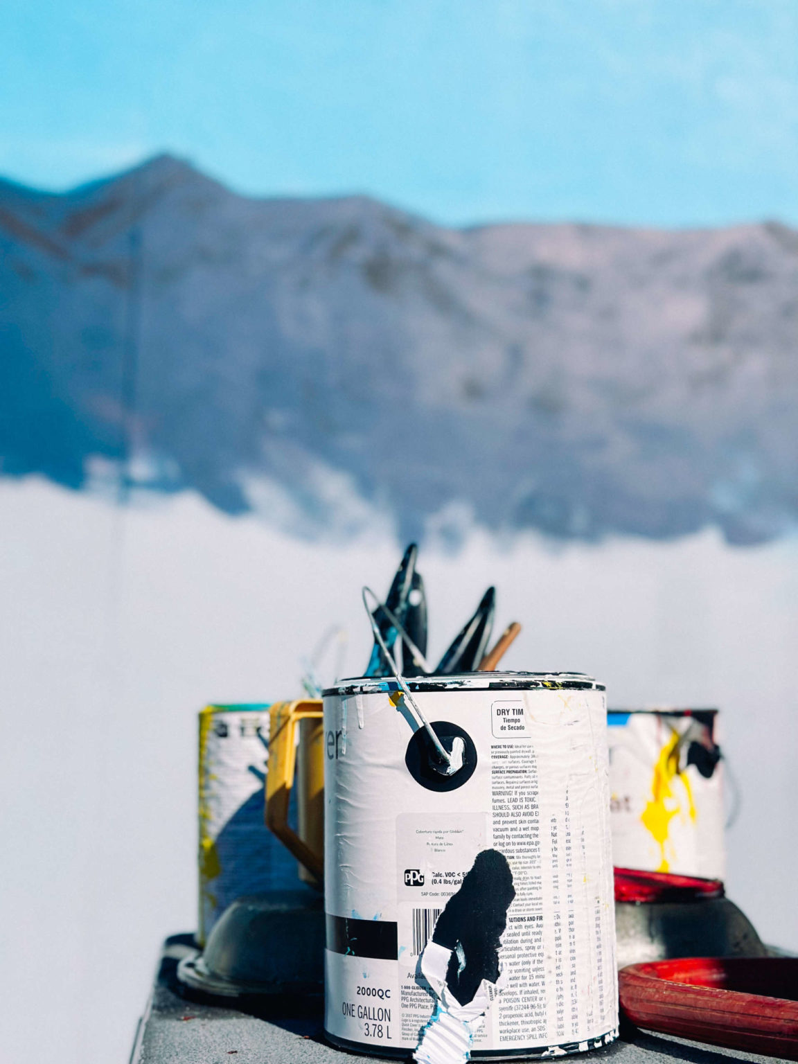 The Story Behind the Main Street Mural - Carson Valley, Nevada | Genoa ...