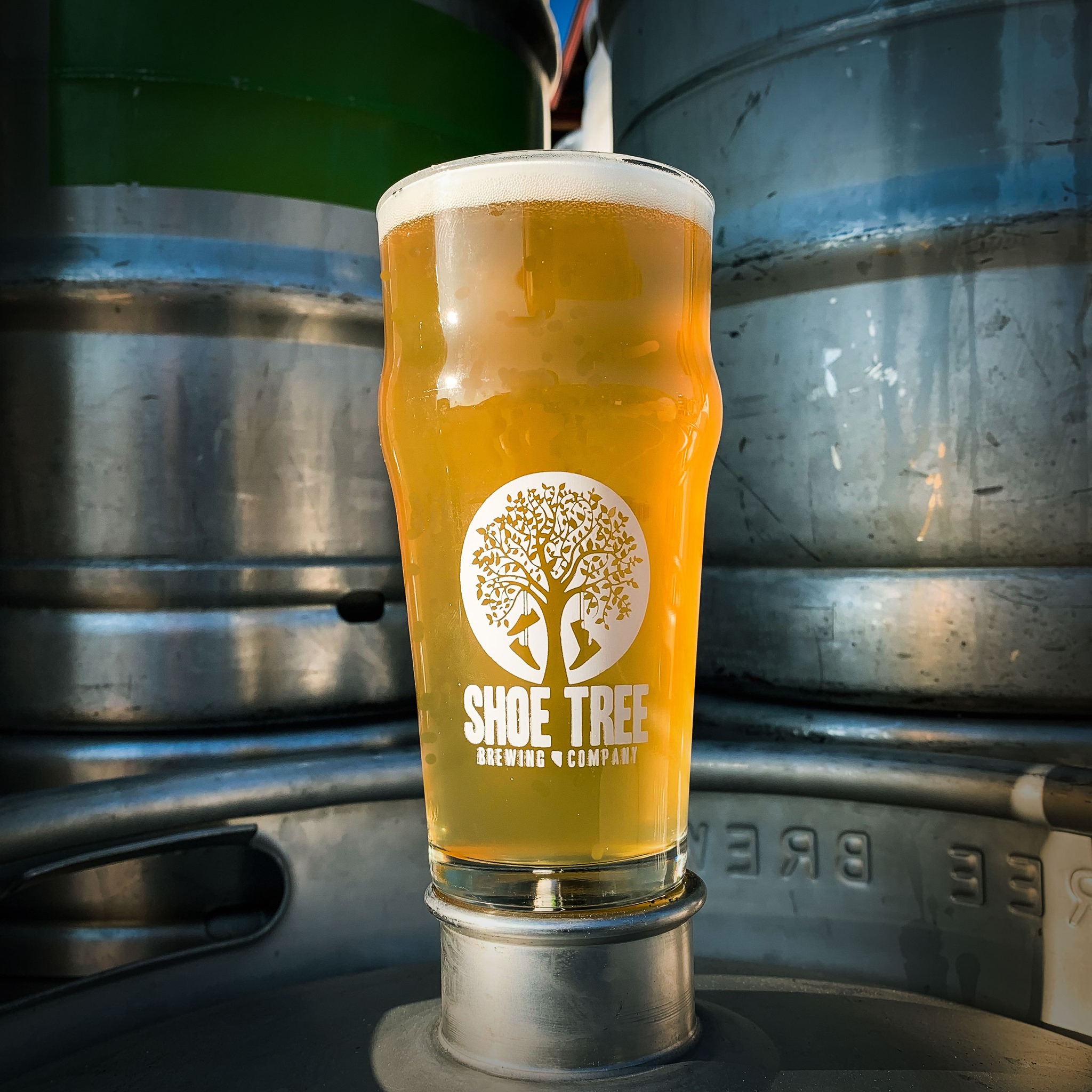 Shoe Tree Brewing Company - Carson Valley, Nevada | Genoa, Gardnerville ...