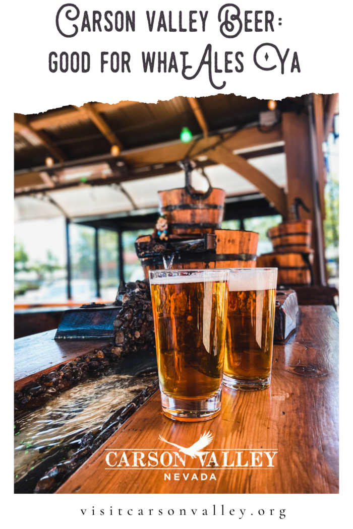 Carson Valley Beer: Good for What Ales Ya - Carson Valley, Nevada ...