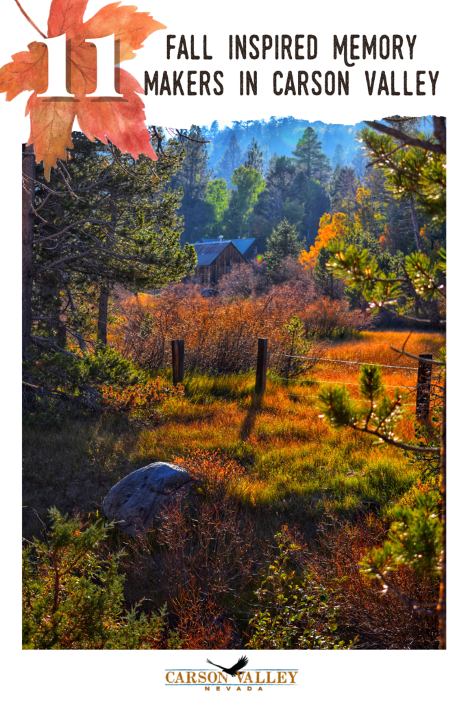 Autumn Insider: 11 Fall Inspired Memory Makers - Carson Valley, Nevada ...