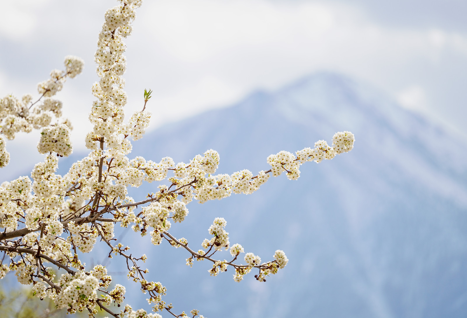 Seasonal Events - Carson Valley, Nevada | Genoa, Gardnerville, Minden ...